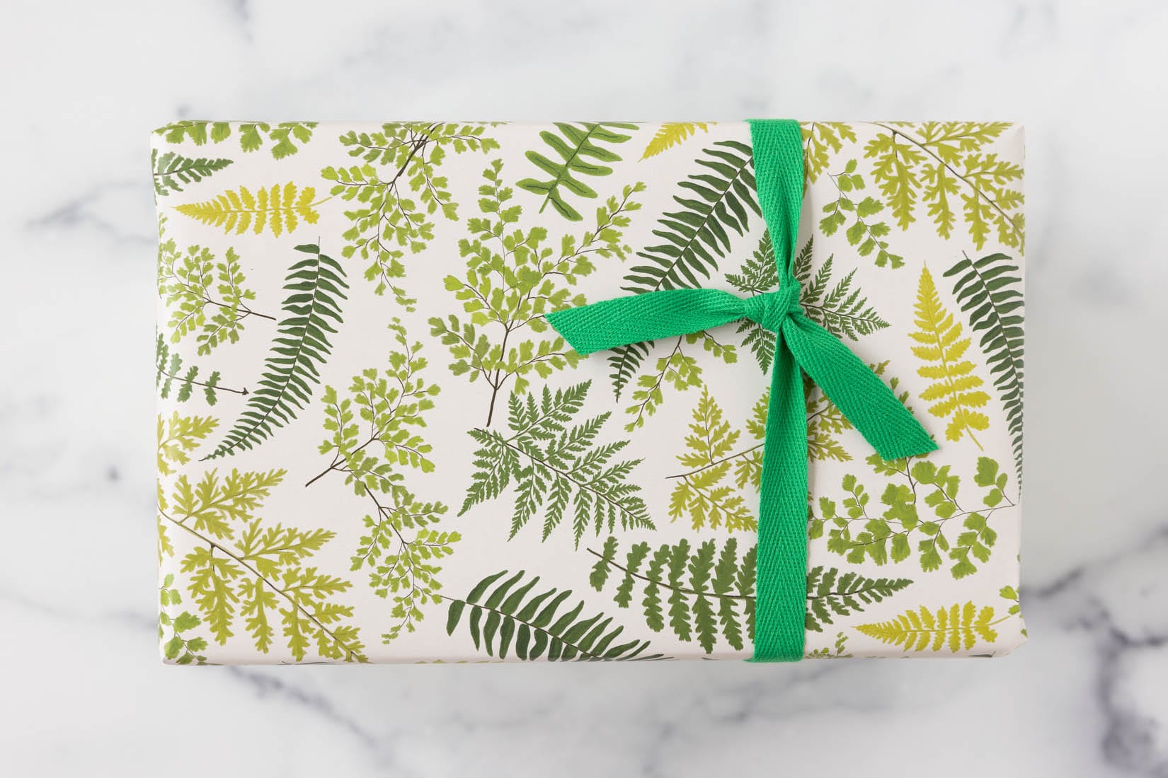 Fern Gift Wrap