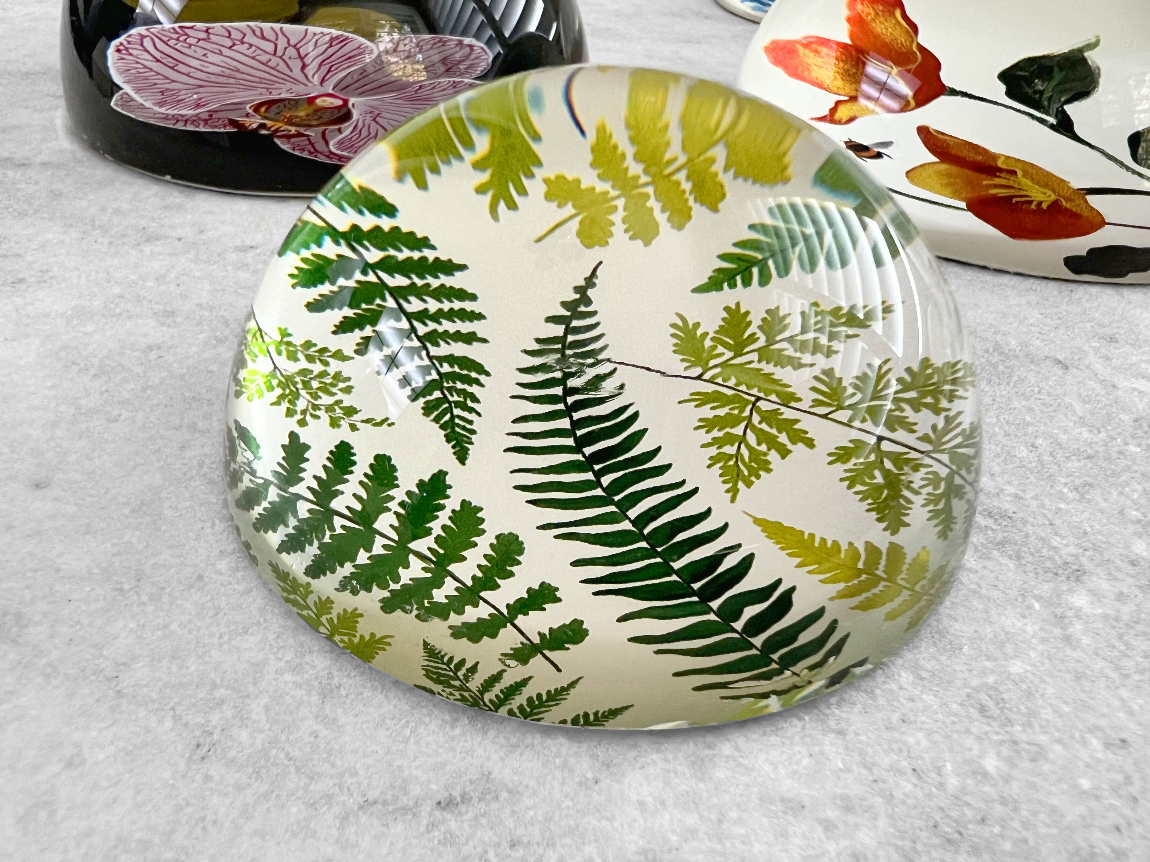 Glass Dome Paperweight - Fern – Favorite Story