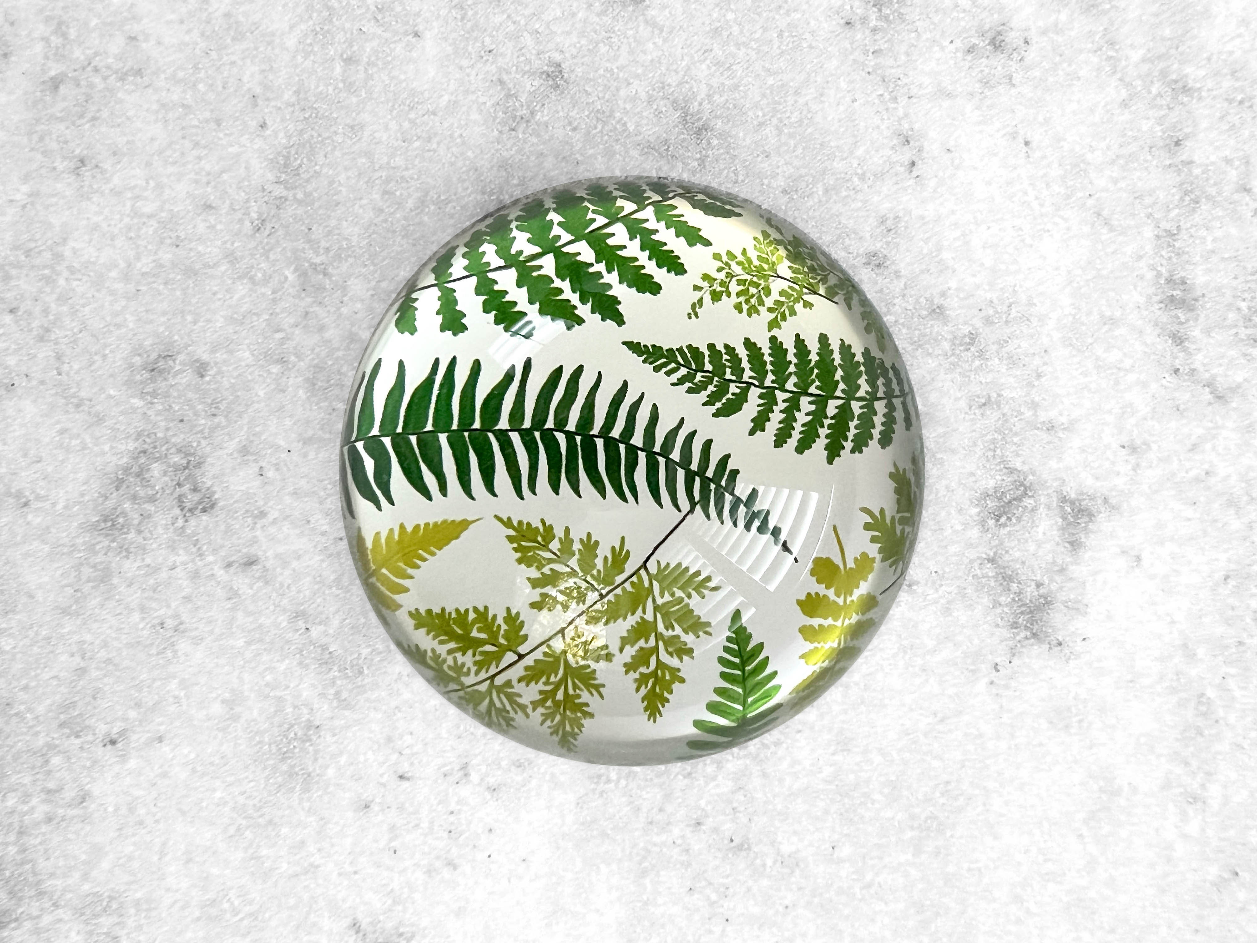 Glass Dome Paperweight, 80mm – Favorite Story