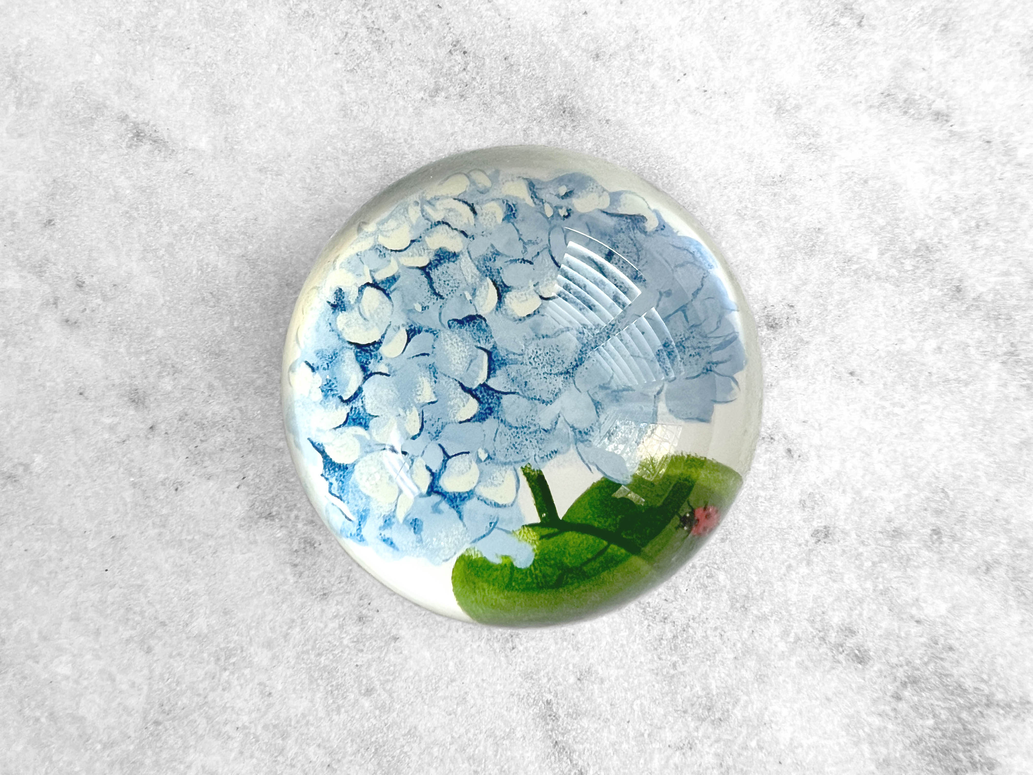 Glass Dome Paperweight, 80mm – Favorite Story
