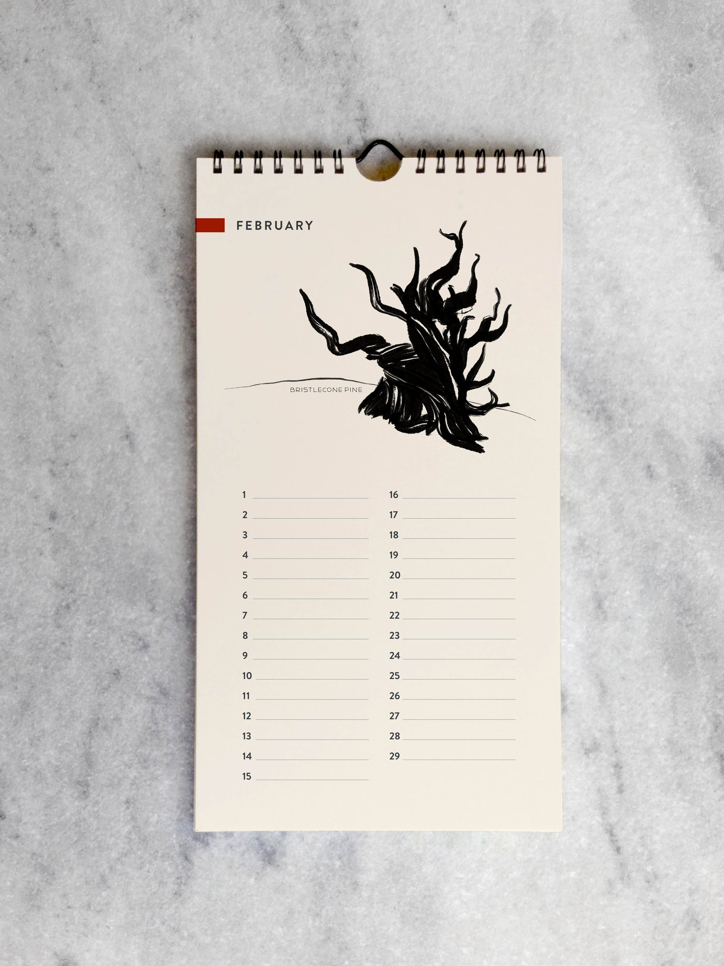 Celebration Calendar – Favorite Story