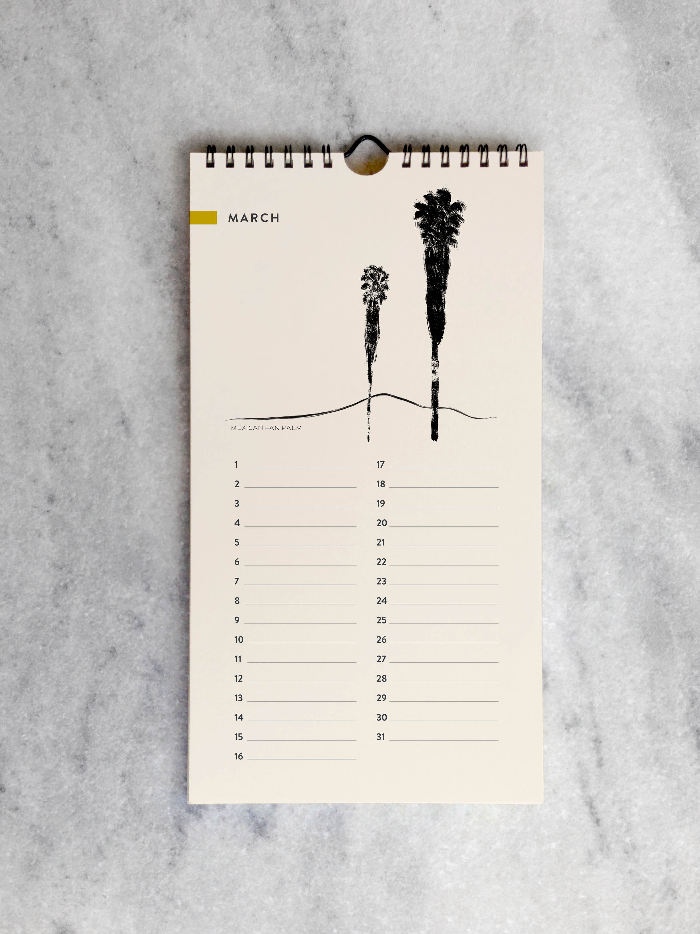 Celebration Calendar – Favorite Story