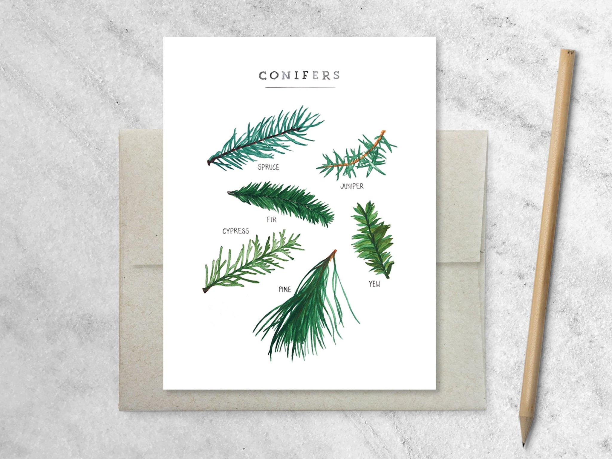 Evergreen Holiday Cards