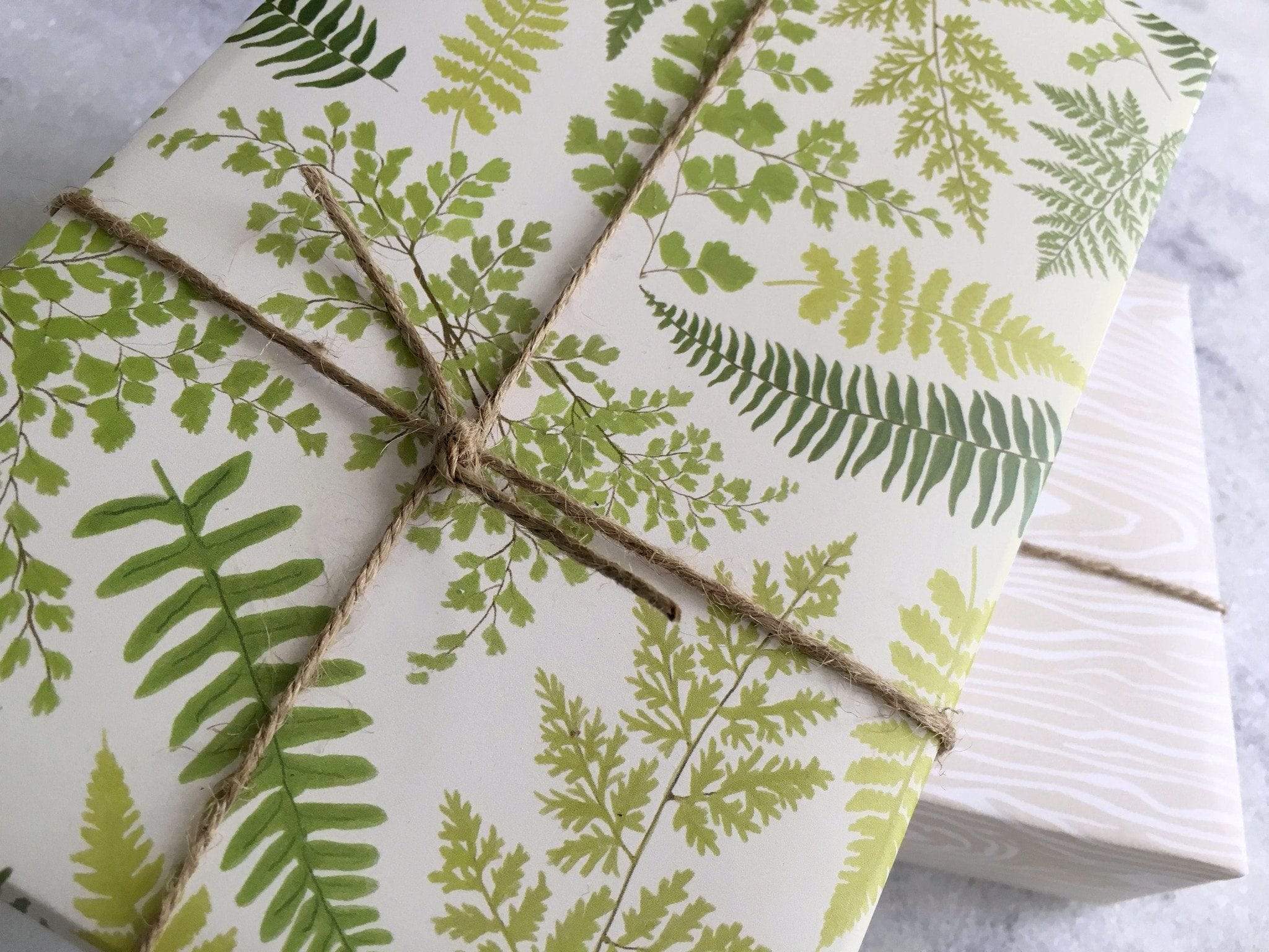 Fern Gift Wrap – Favorite Story